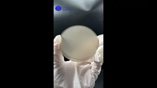 China Custom Silicon Carbide (SiC) Stepped Ceramic Plate for Semiconductor Equipment for sale