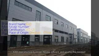 Flexible and Efficient Steel Structure Buildings