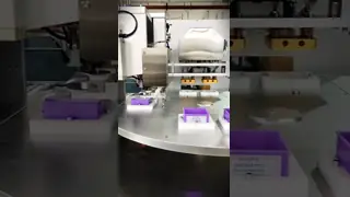 China LD642 Vertical Extended Box Sealing Machine with One-out-four Sealing, Stainless Steel Construction and 7-inch Touch Screen for sale