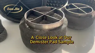 China High Performance Demister Pad Stainless Steel Knitted Mesh Mist Eliminator for sale