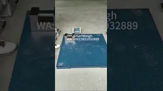 Testing the Accuracy of Carbon Steel Floor Scale with Weights#floorscale #testingscale