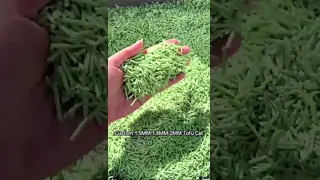 China Premium Tofu Cat Litter From Professional Factory Supplier Eco Friendly Biodegradable Flushable Low Dust Quick Clumping Pet Safe Comfortable On Paws For All Cats for sale