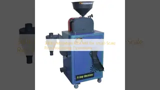 China 300kg Miniature Rice Mill for Small-Scale Rice Processing Operations for sale