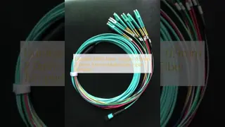 MPO Fiber Jumper High Speed Network Cable