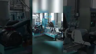 Automatic Floating Fish Feed Making Machine Plant Fish Feed Extruders