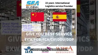 Spain LCL Cargo China Sea Freight to Spain DDP Door to Door