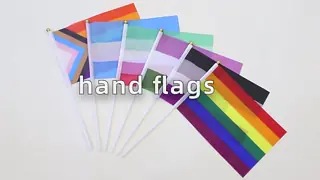 China Customized Double Sided Printing Polyester Sublimation Car Flags Blanks for sale