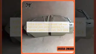 Hyundai Elantra 21-24 Door Panel Assembly