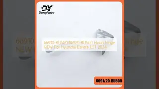 Hyundai Elantra Hood Hinges 2024 NEW