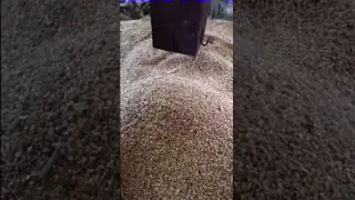 China Multi functional vertical dryer tower paddy dryer 30 tons indirect batch type dryer 30 tons for sale