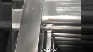 China Farm 1.8m Square Tube Cattle Panel Fence Galvanized Customized for sale