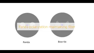 Panda PM Fiber For Gyroscopes