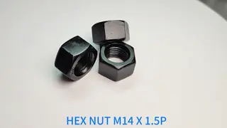 Hex Head Bolts