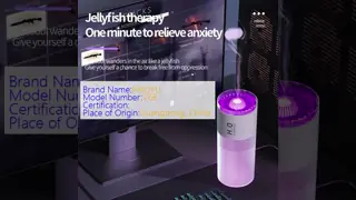 Quiet USB Humidifier for Dry Air Relief