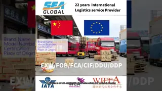China China to UN LCL Shipping | DAP Service via Hamburg | Professional Freight Forwarder for sale