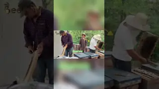 Let's experience a beekeeper's day together and see how a beekeeper spends their day