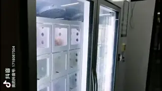 Egg Vending Machine