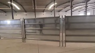 Cattle Yard Showcase Video 06