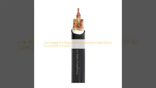 Low Voltage Fire Rated Cable Fire Resistant Cable 0.6/1kV CU/XLPE/PE YJY N2X2Y