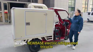 China Electric Refrigerated Vehicle Small Wheels Tricycle Solar-Powered -18C Cold Chain Transport Customization Support for sale