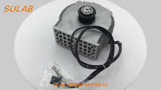 SE-BL 48W 8P RATING S1 Elevator Lift Spare Parts Door Motor SE-BL 48W 8P Rated S1 Door Motor, Submer