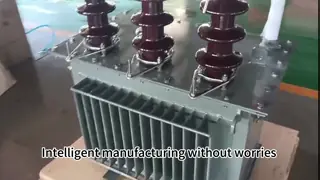 China Dyn11 Connection Symbol Toroidal Transformer Power Specifications Perfect for Electrical Equipment and Energy Management for sale