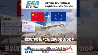 China China to USA FBA LCL Ocean Freight Forwarder | Dual Market Coverage & Full FBA Compliance Support for sale