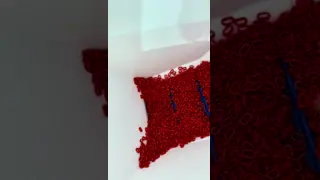 O ring counting packaging machine
