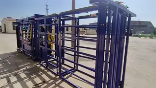 China Powder Coated Cow Crush Rectangle Cattle Crush With Scales Heavy Duty for sale