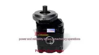 China SAE Flange Hydraulic Gear Motor High Speed PGM031 Repair Parts For Mining Equipment for sale