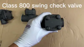 China A105 Forged Steel Swing Check Valve 1/2 Inch Class 800 BSP Threaded Socket Weld For 425 Degree Steam for sale