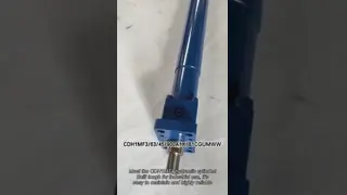CDH1MF3/63/45/900A1X/B1CGUMWW Rexro th Heavy-Duty Engineering Hydraulic Cylinder