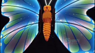 China Zoos Chinese Festival Lanterns Animated Bee Mechanical Insect Model 110/220V for sale