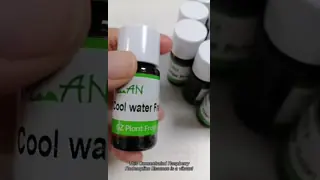 China Alcohol-Free Concentrated Raspberry Redemption Fragrance Essence Oil  Perfume Oil For Fragrance Making Free Sample for sale