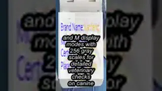 China USB Veterinary Portable Ultrasound Machine with 3.5MHz Convex Probe for Canine Bovine Animals - 10.4" Display for sale