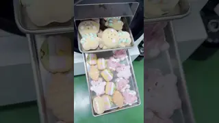 Home Freeze Dryer For Food Preservation