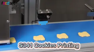 China S341 Industrial Food Laser Chocolate Printer Machine Edible Inks OEM for sale