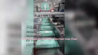 China SHUJI Custom Professional Salon Hair Color Chart OEM/ODM Hot Sale Book with Permanent Fashion Protein Hair Dye Colors for sale