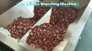 China Customizable High Efficiency 500kg/h Air Peanut Blanching Machine Hazelnut Cashew Blanching Machine for Nut Processing Plants for sale
