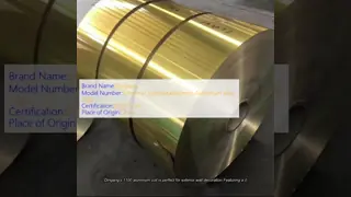 Aluminum Alloy 1100 Aluminum Coil Exterior Wall Decorative Strip (0.8 mm | Custom Width | PVDF Corrosion-Resistant Coating)