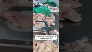 China Precision Stainless Steel Lab Bench Scale IP68 Waterproof Medical Weighing Scale for sale