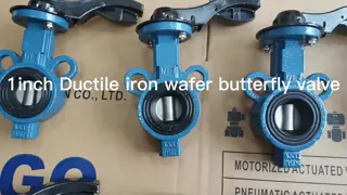 China Manual Butterfly Valve Lever Operated Steel Handle CF8 Disc 16bar Wafer Type Epdm Ptfe Seal for sale