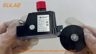 CR137-BZ-T2 Heavy-Duty Limit Switch with IP67 Rating, 2×SPDT Snap-Action Contacts and Steel Roller L