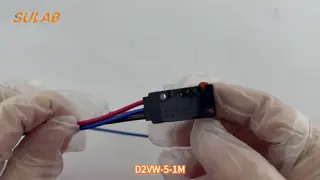 China D2VW-5-1M IP67 Snap-Action Brake Switch 5A 250VAC with Wire Leads for Elevator Safety Limit Switch for sale