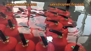 video10