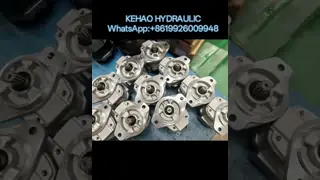 Hydraulic pump