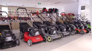 China Garden Gasoline Hand Push Self Propelled Lawn Mower 4 Stroke for sale