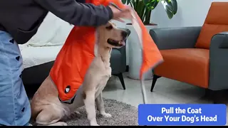 Introduce Dog Clothes Customizable Pet-Friendly Certification Winter Jacket Holographic For You