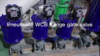 Pneumatic flange carbon steel gate valve