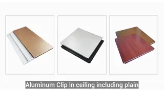 aluminum clip in ceiling